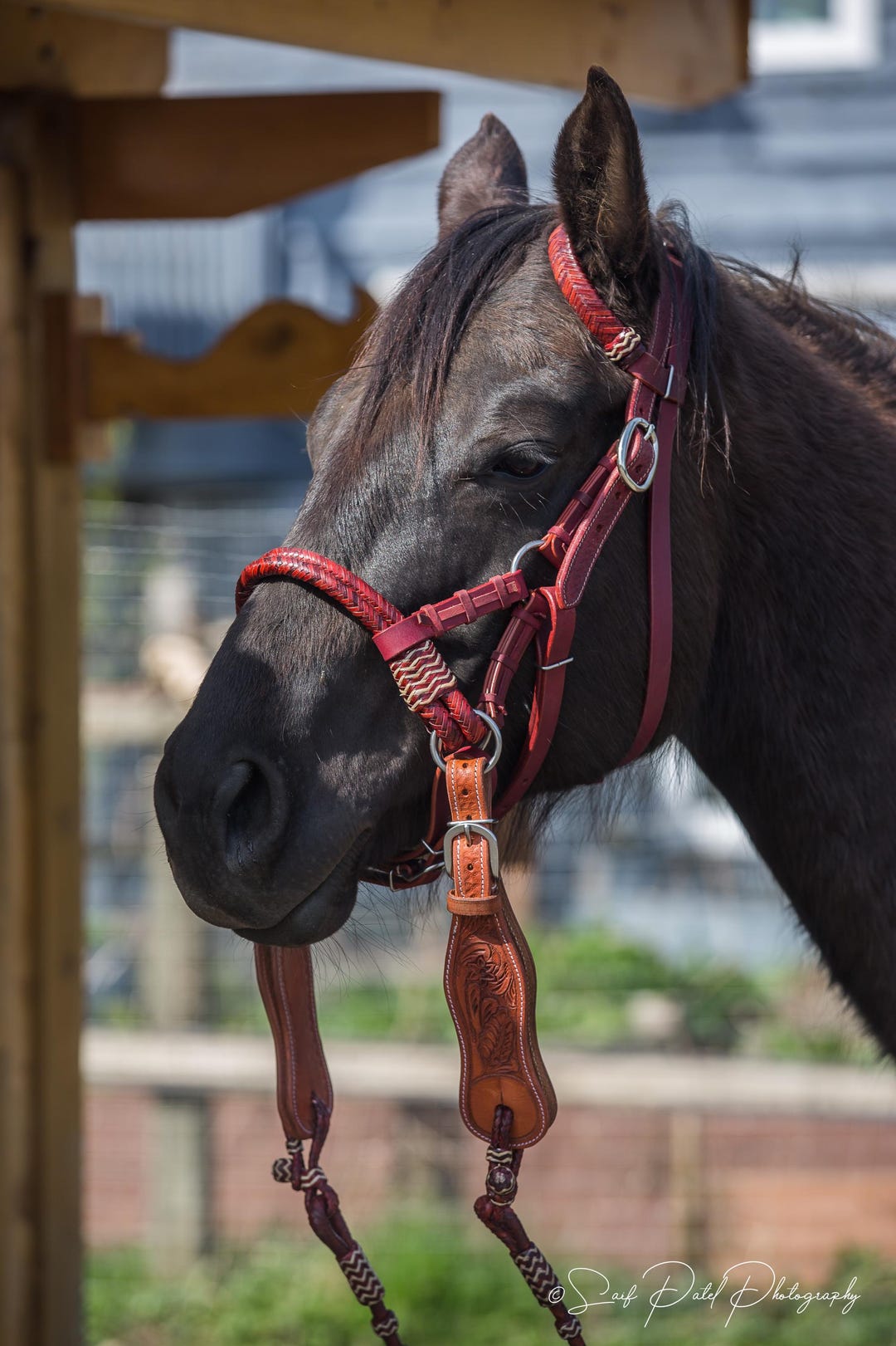Romel Style Western Braided Rawhide and Leather Browband Sidepull ...