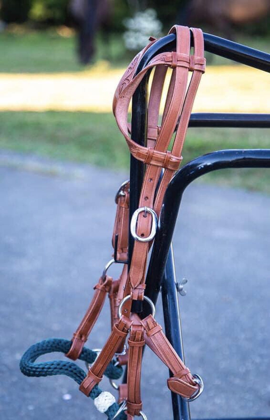 Western Style Double Ear Sidepull Headstall - Etsy