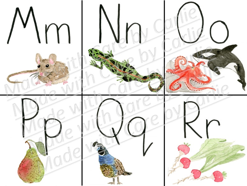 26 Watercolor Alphabet Phonics Phonograms Cards Instant Digital ...