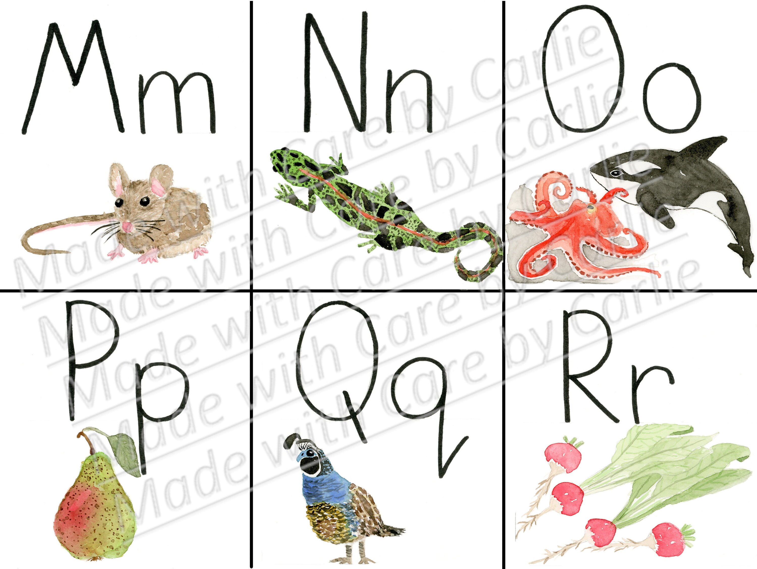 26 Watercolor Alphabet Phonics Phonograms Cards Instant Digital ...