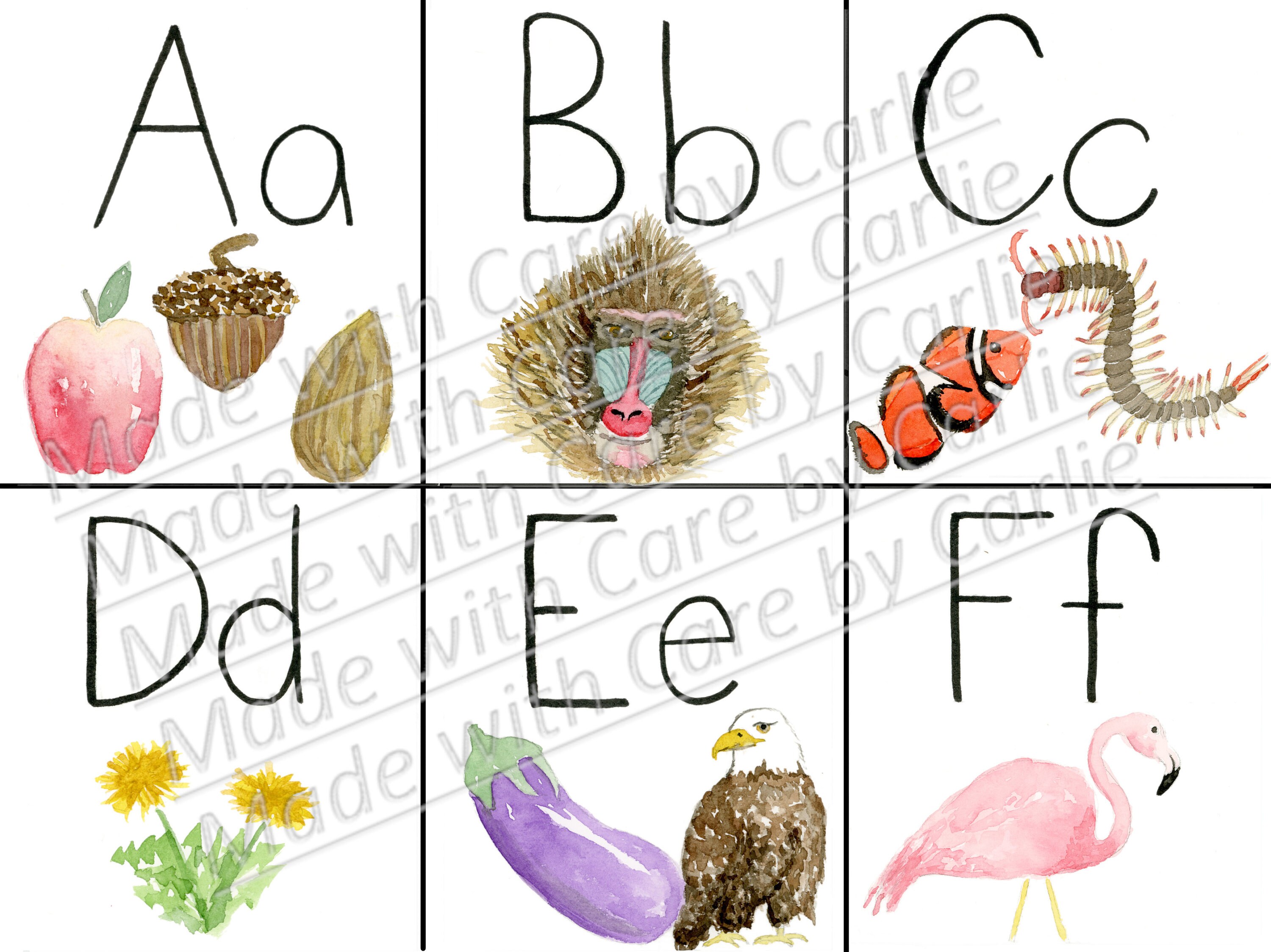 26 Watercolor Alphabet Phonics Phonograms Cards Instant Digital ...