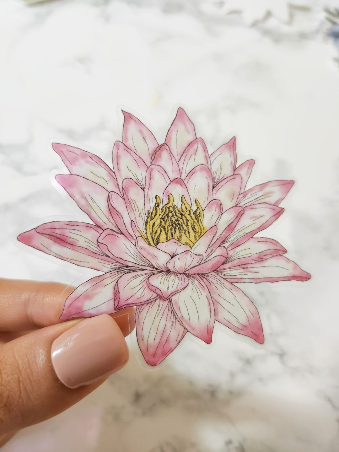 Water Lily Watercolor Flower Sticker Clear 3 X 2.7in - Etsy
