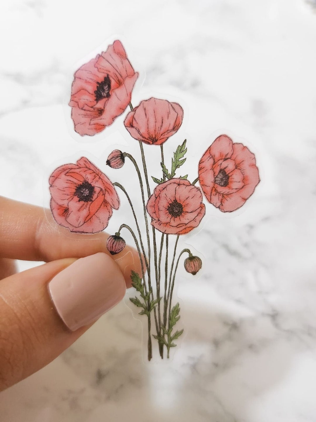 Poppy Watercolor Flower Sticker, Clear, 3 X 2in - Etsy