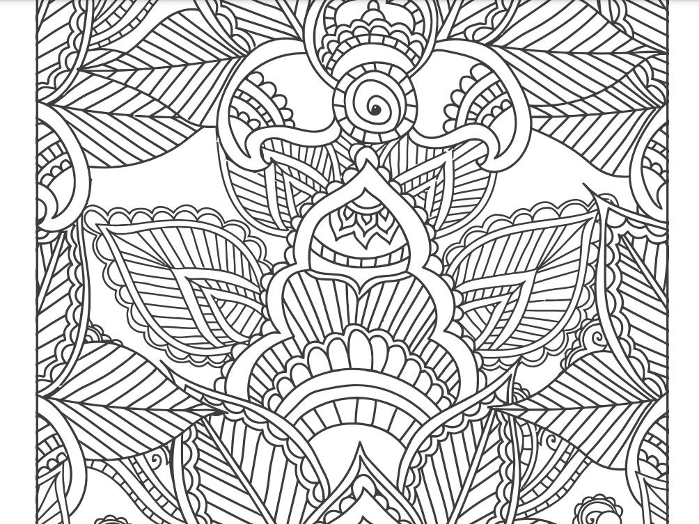 20 Flower Colouring Pages - Etsy