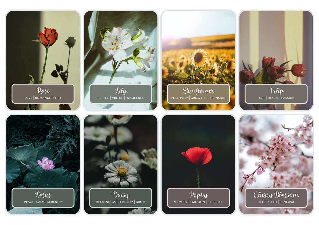 Enchanted Meadow PRINTABLE Mini Oracle Deck - Etsy