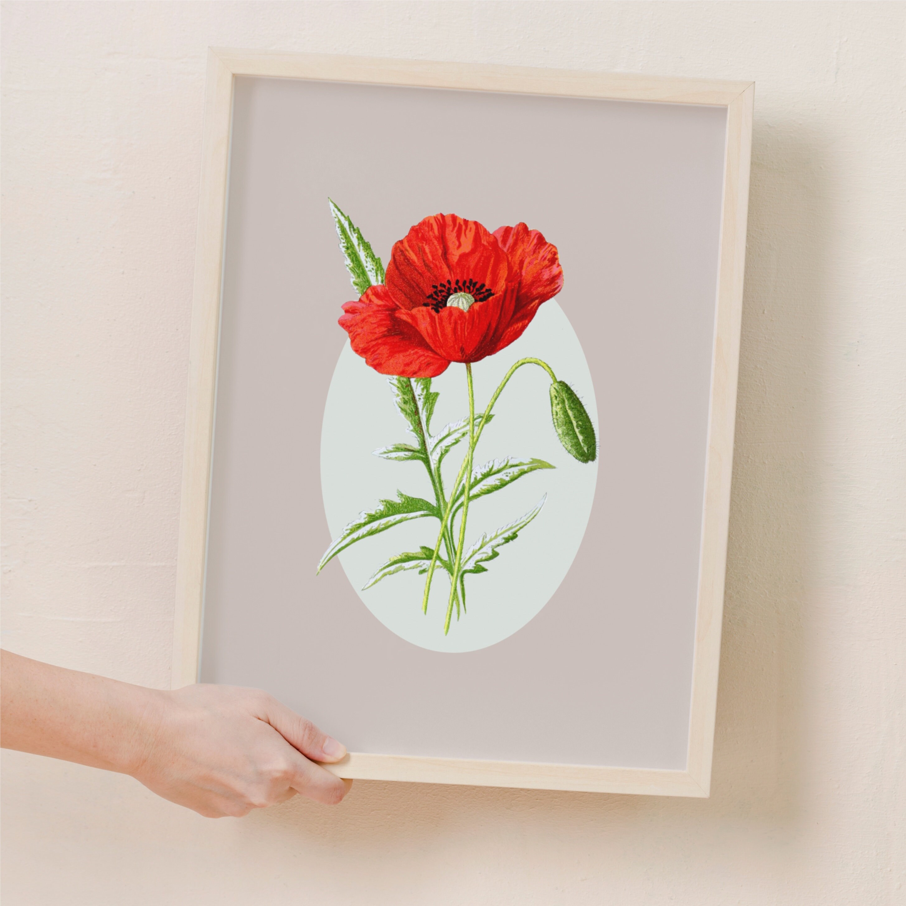 Poppy Wildflower Wall Art Print - Poppies Wall Decor - Botanical Wall ...