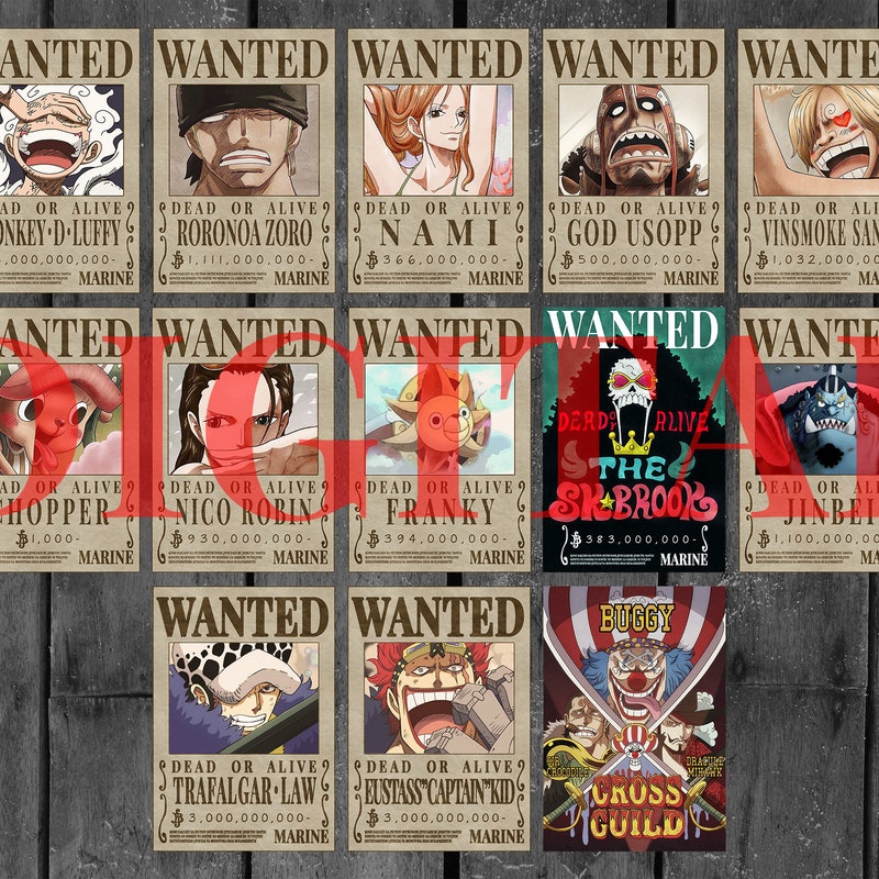 One Piece Bounty Poster - Etsy