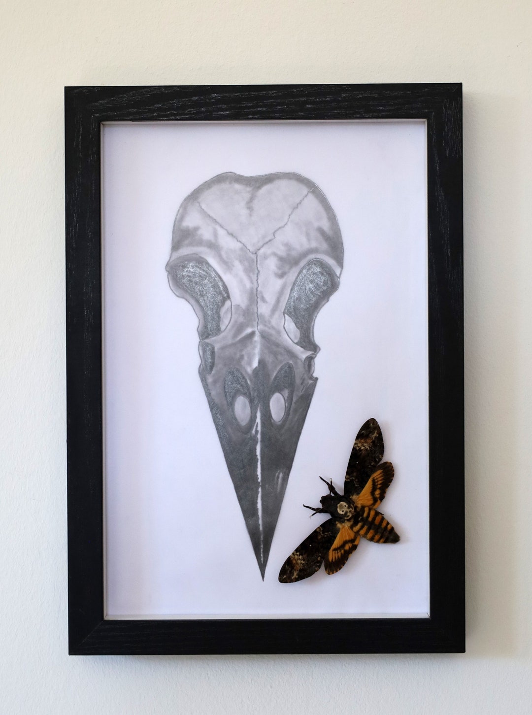 True Moth Framed - Acherontia Atropos True Death's-head Hawk Moth ...
