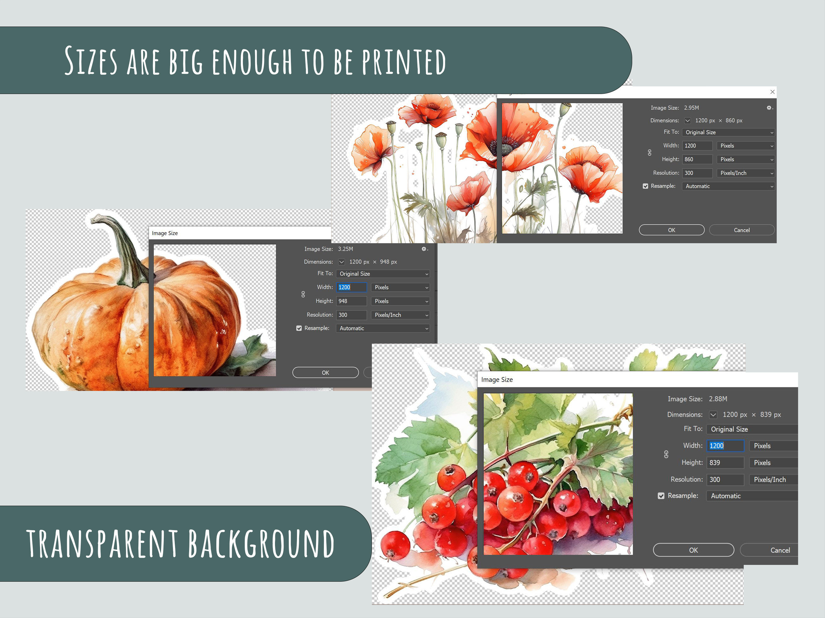 Garden Vegetable Stickers Digital Clipart, 210 Watercolor PNG ...