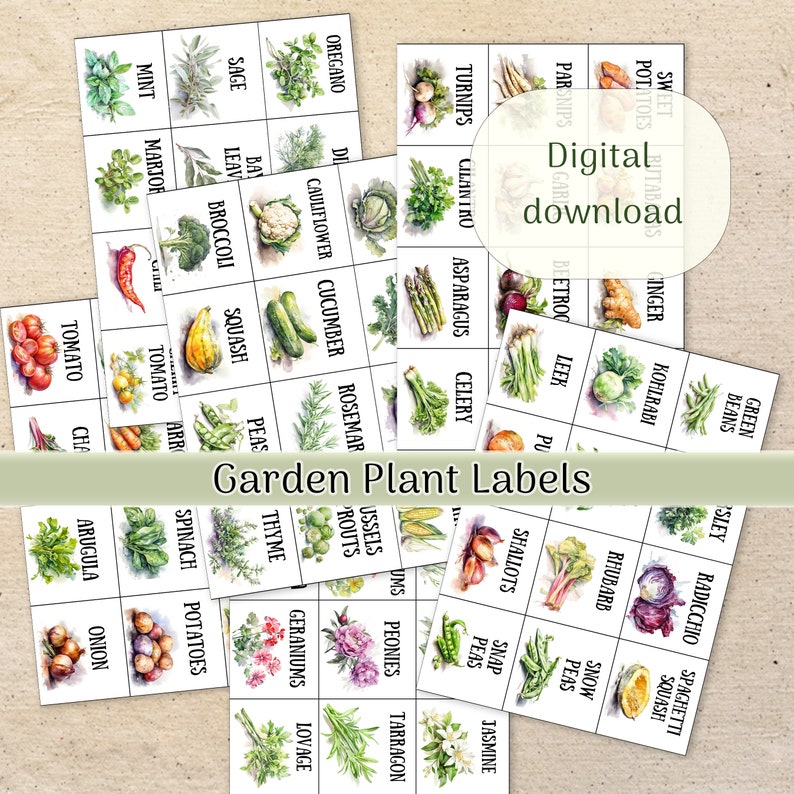 Watercolor Garden Plant Labels Clipart - 6 A4 Pages, Printable Herb ...