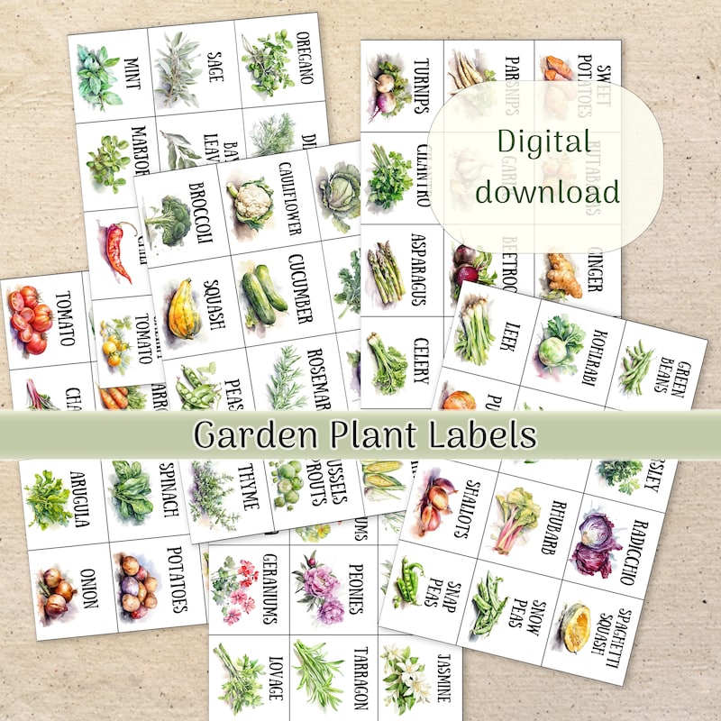 Tag for Vegetables - Etsy