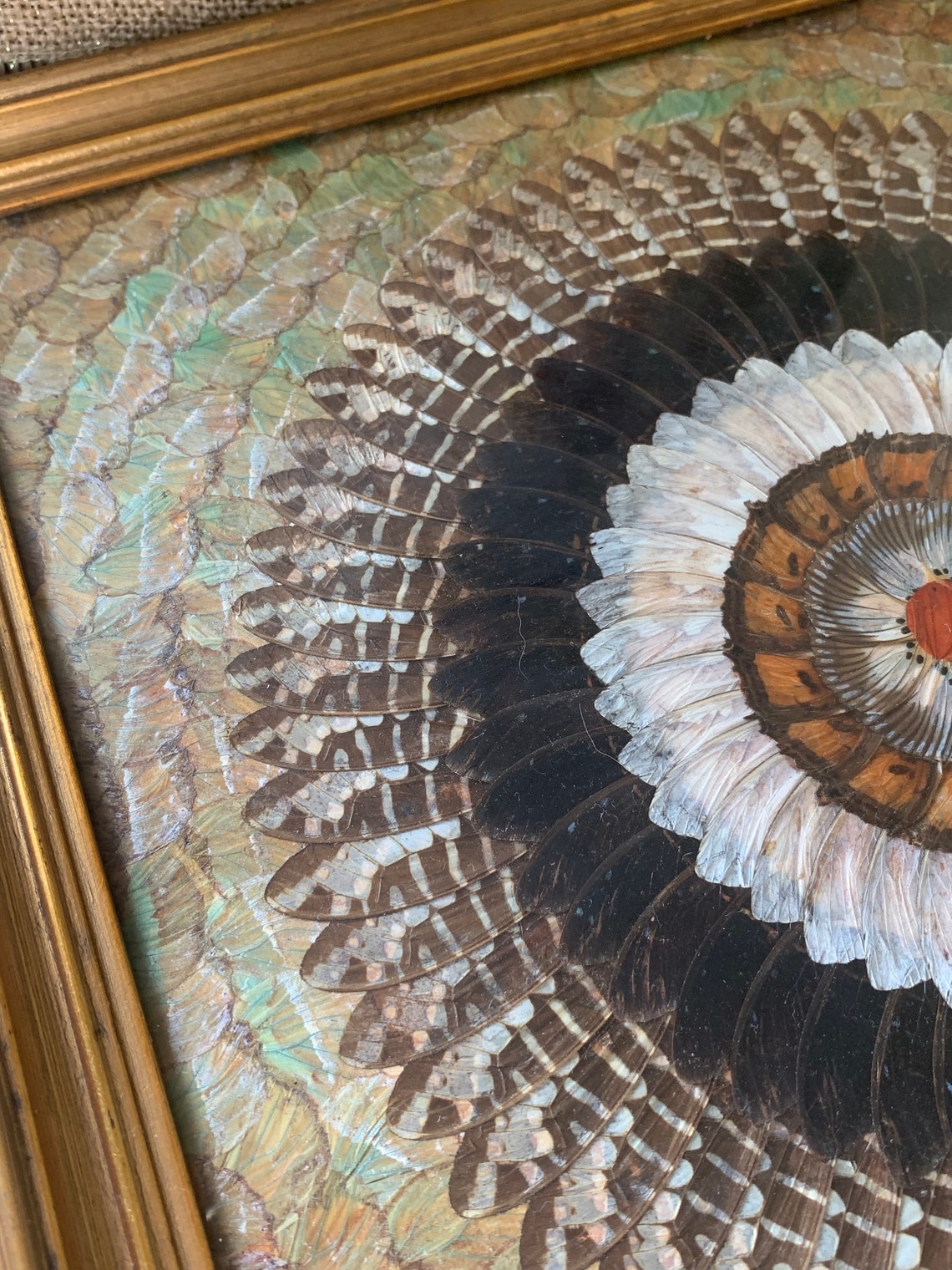 Vintage Glass Frame With Butterflies From 1960 - Etsy