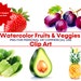50+ Watercolor Fruits and Vegetables Clipart - Vegetable Garden ...