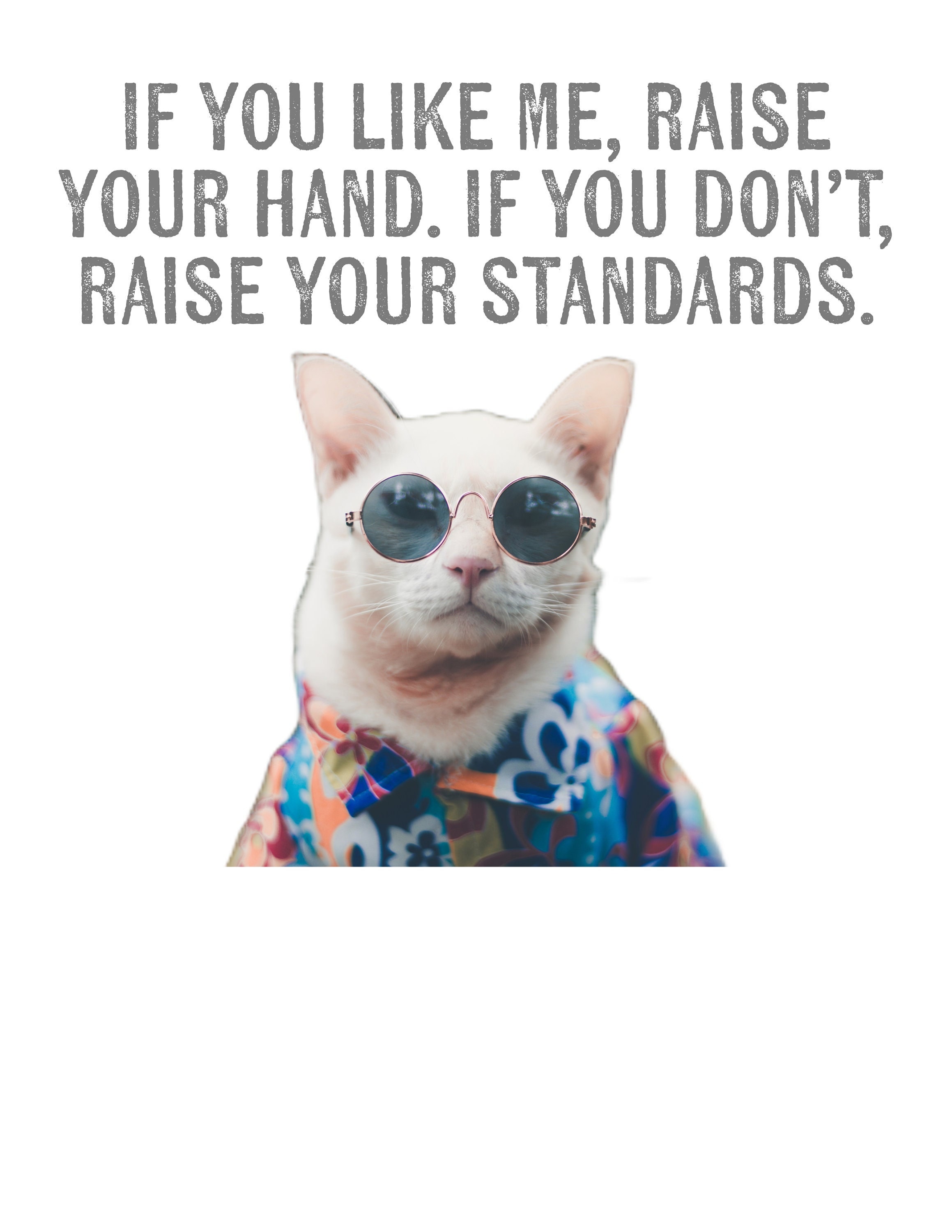 Raise Hand Cat