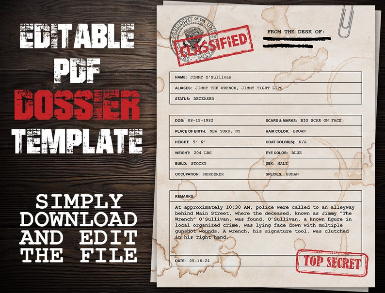 Editable PDF Dossier Template - Digital Download - Customizable Top ...