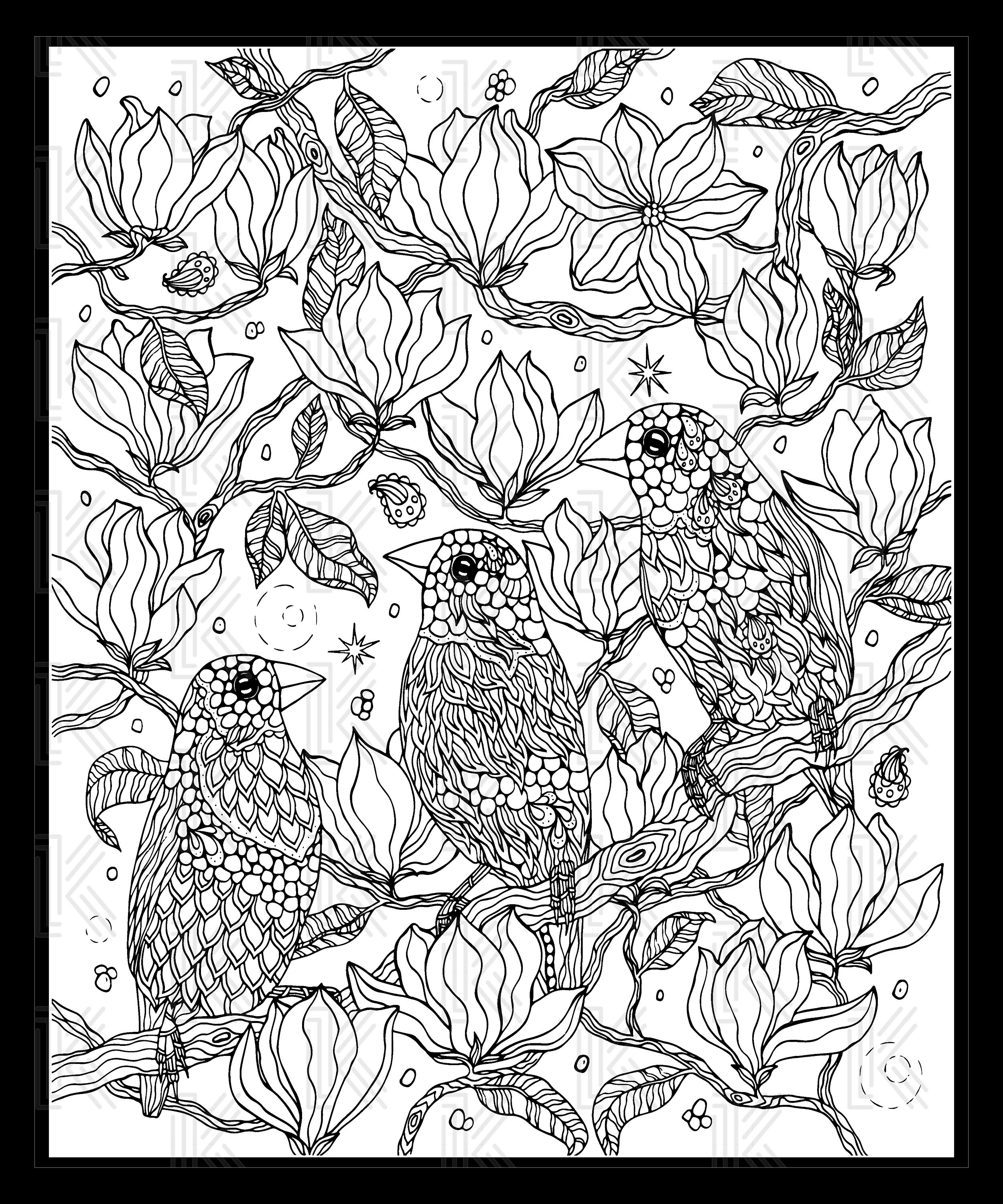 Animal Coloring Pages: Beautiful Birds Adult Coloring Book by - Etsy