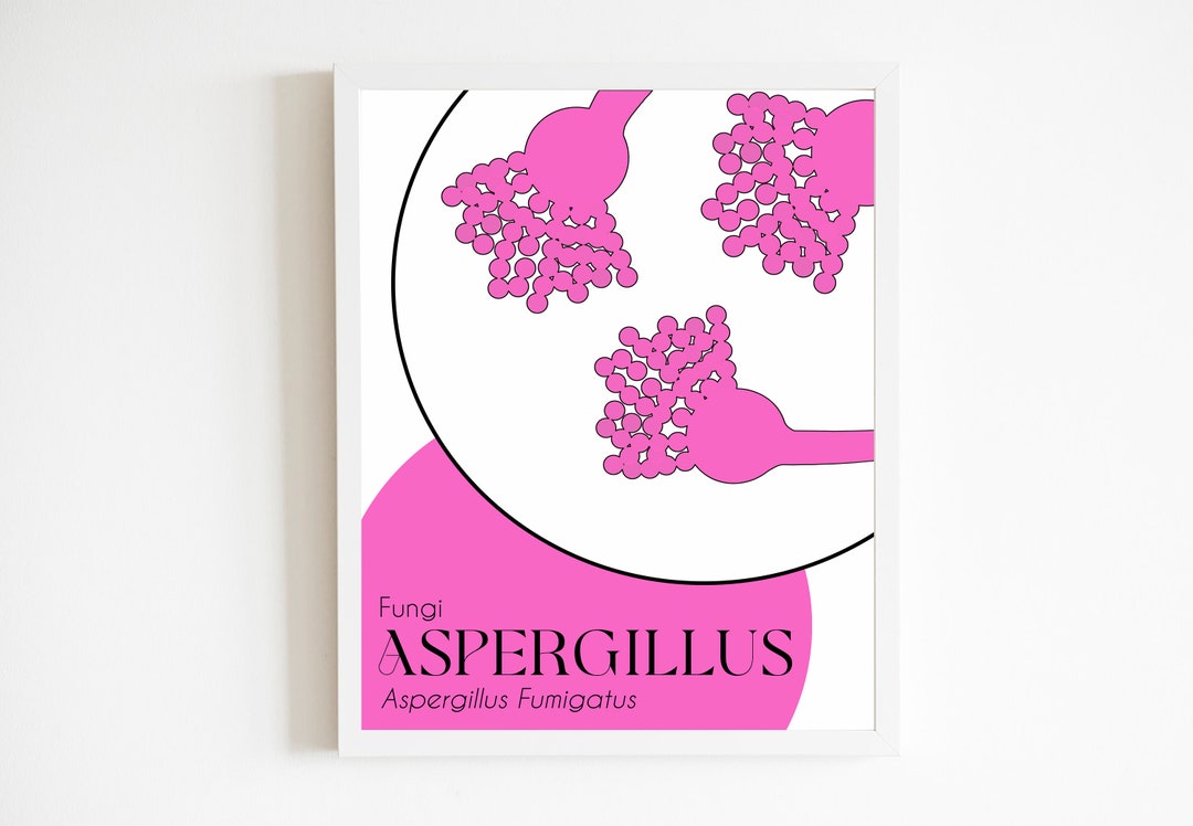 1960's Inspired Pathogen Digital Art Print - Aspergillus - Etsy