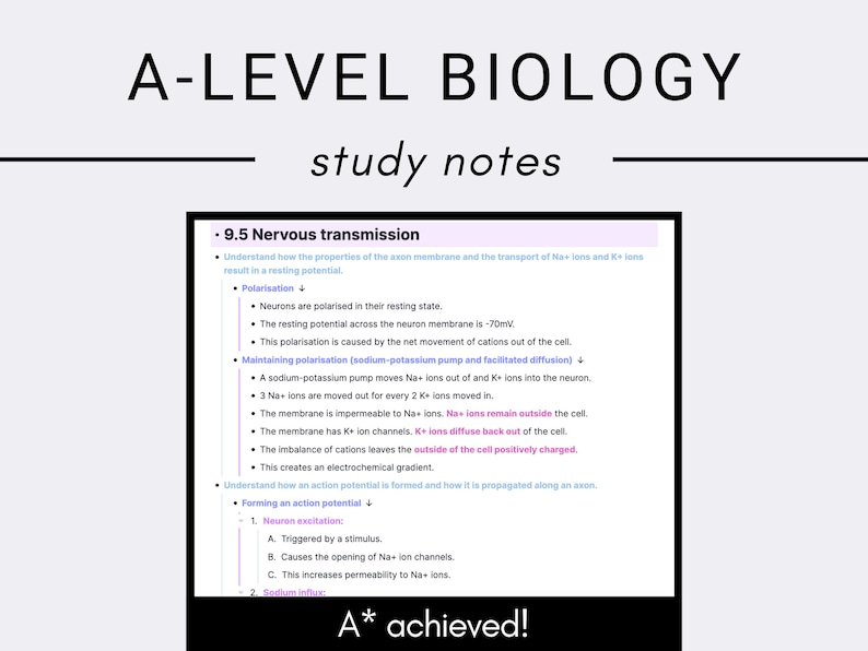 Edexcel A-level Biology Notes: A Comprehensive Set of Detailed Notes on ...