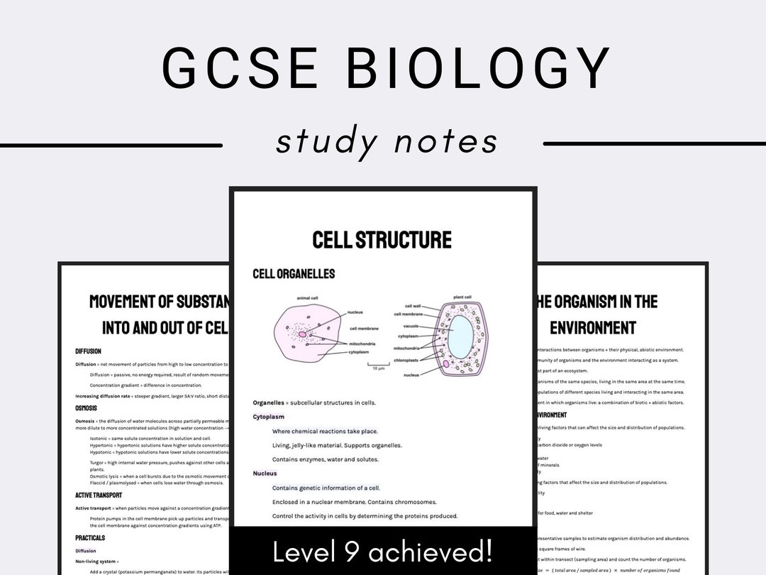 IGCSE Biology Study Notes: A Comprehensive Set of Detailed Notes on All ...