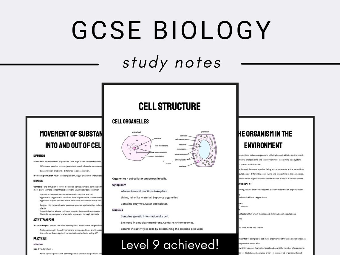 IGCSE Biology Study Notes: A Comprehensive Set of Detailed Notes on All ...