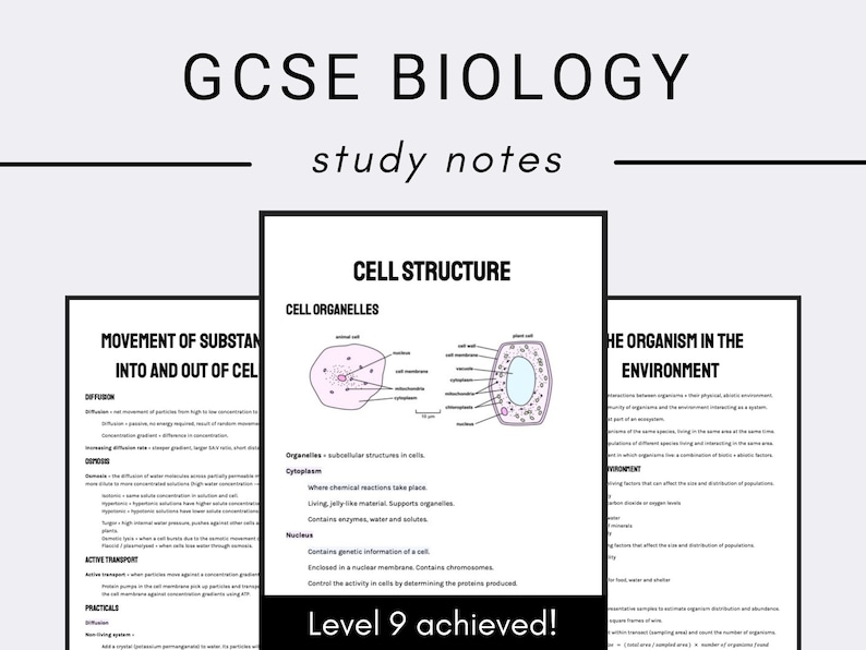IGCSE Biology Study Notes: A Comprehensive Set of Detailed Notes on All ...