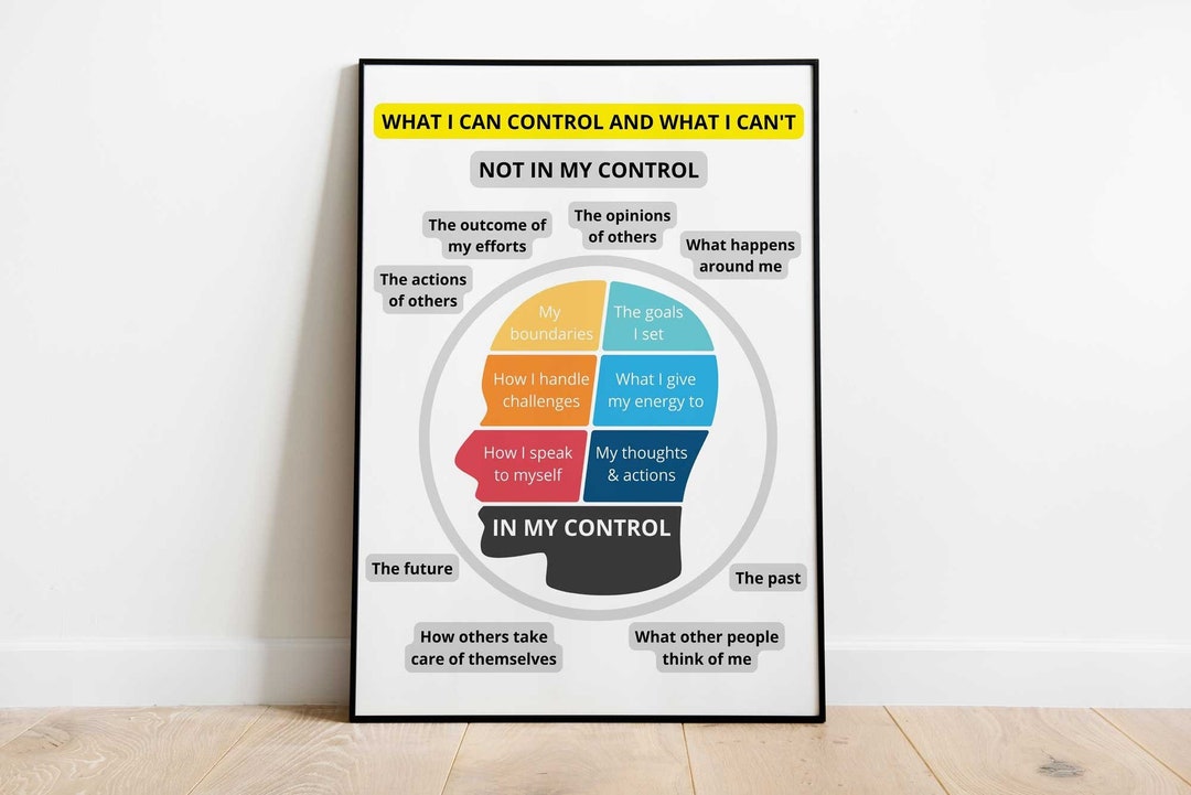 Classroom Poster - What I Can Control and What I Can't - Etsy