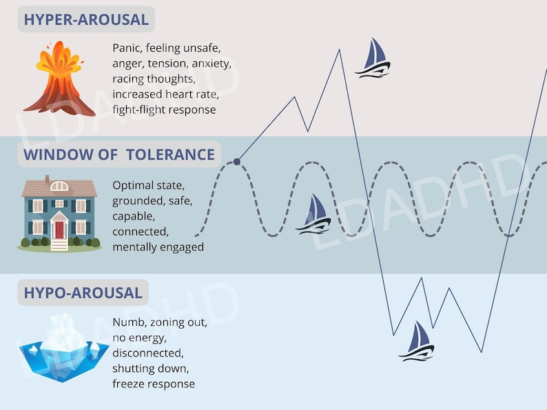 Window of Tolerance Digital Poster - Instant Download for Schools ...