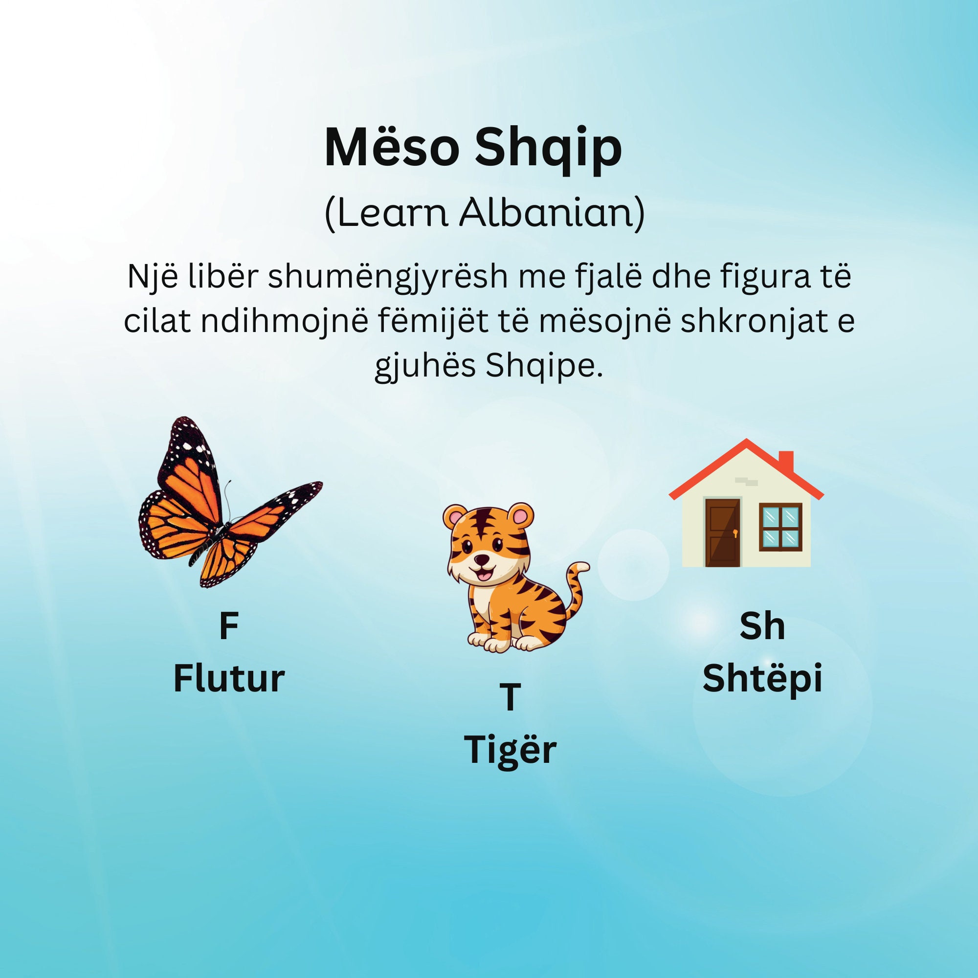 Albanian Alphabet - Etsy