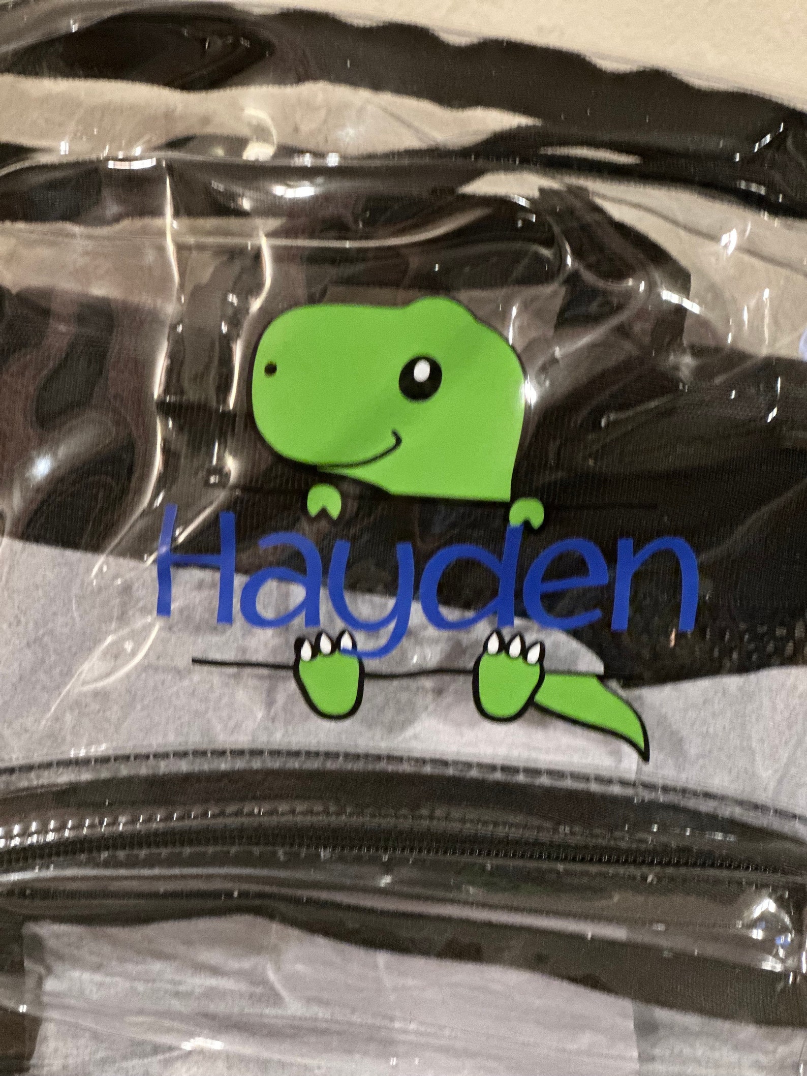 Clear Plastic Personalized Dinosaur Backpack - Etsy