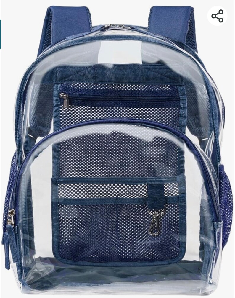 Clear Plastic Personalized Dinosaur Backpack - Etsy