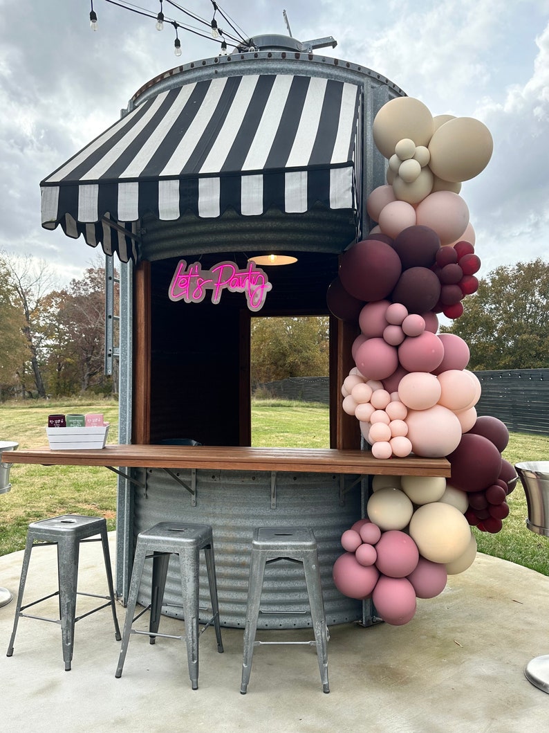 You're the Wine That I Want DIY Balloon Kit - Etsy