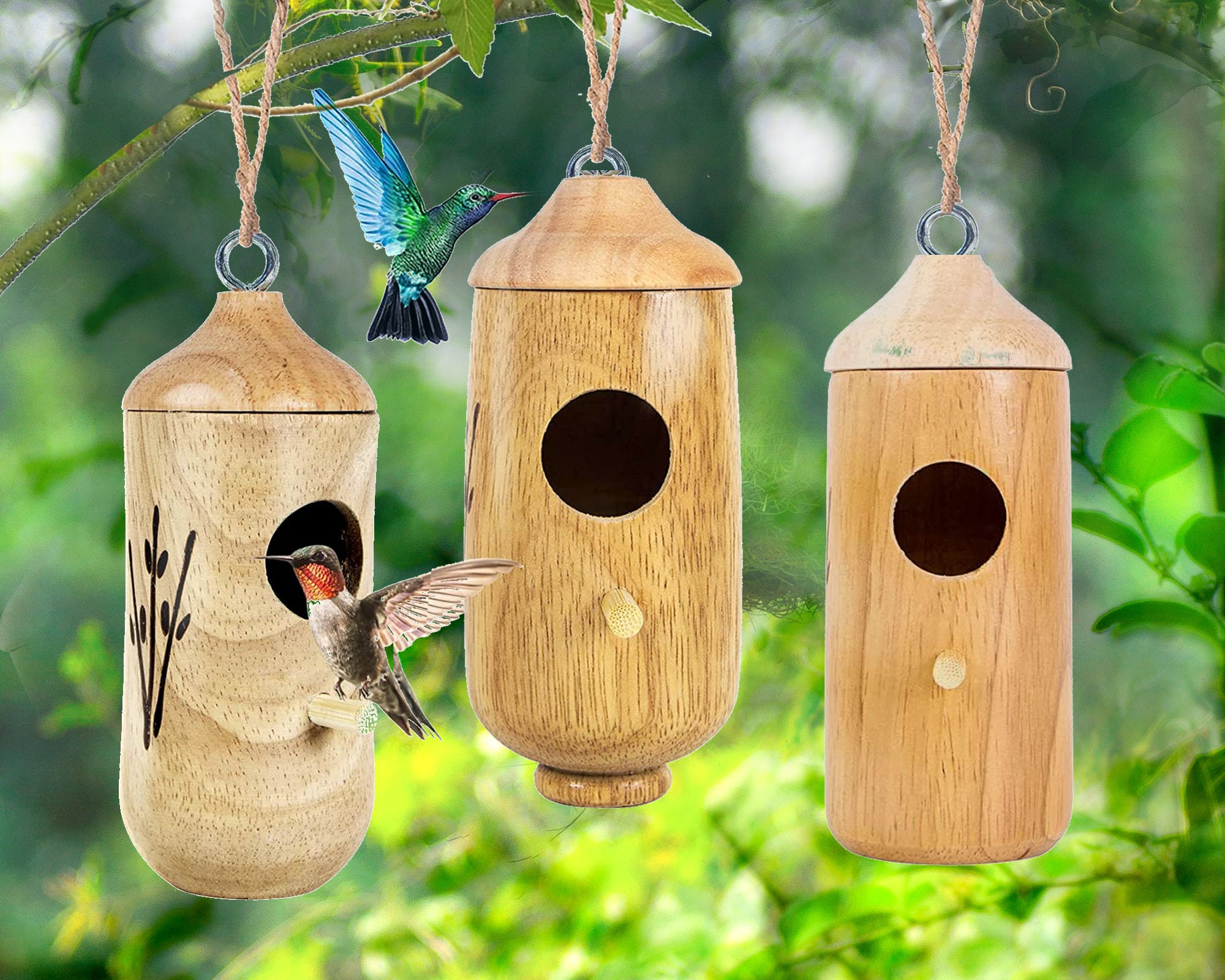 Hummingbird Nest Box