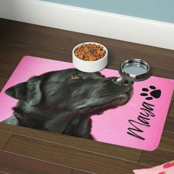 Dog Bowl Mat - Etsy