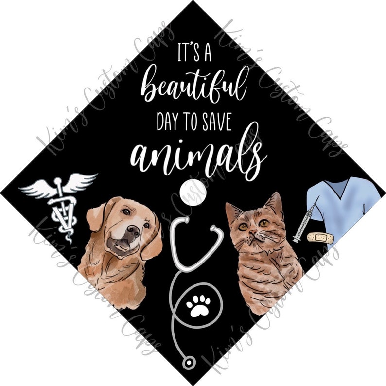 Veterinary Vet Tech Graduation Cap Topper - Etsy