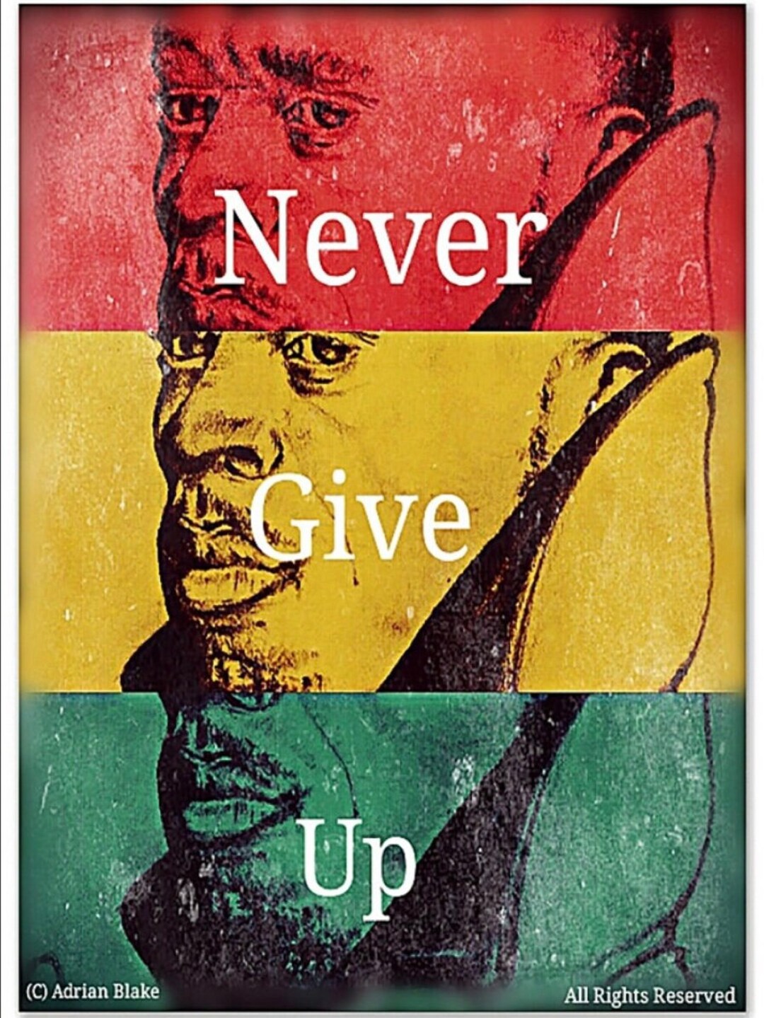 Never Give up Poster 16x20. - Etsy