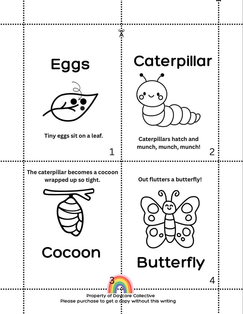 Lifecycle of a Butterfly Book, Printable Coloring Caterpillar Activity ...