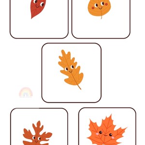 Daycare, Playroom, Classroom Fall Theme Cards for Sensory Play, Color ...