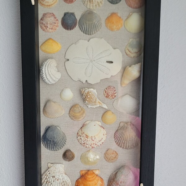 Shell Shadow Box - Etsy