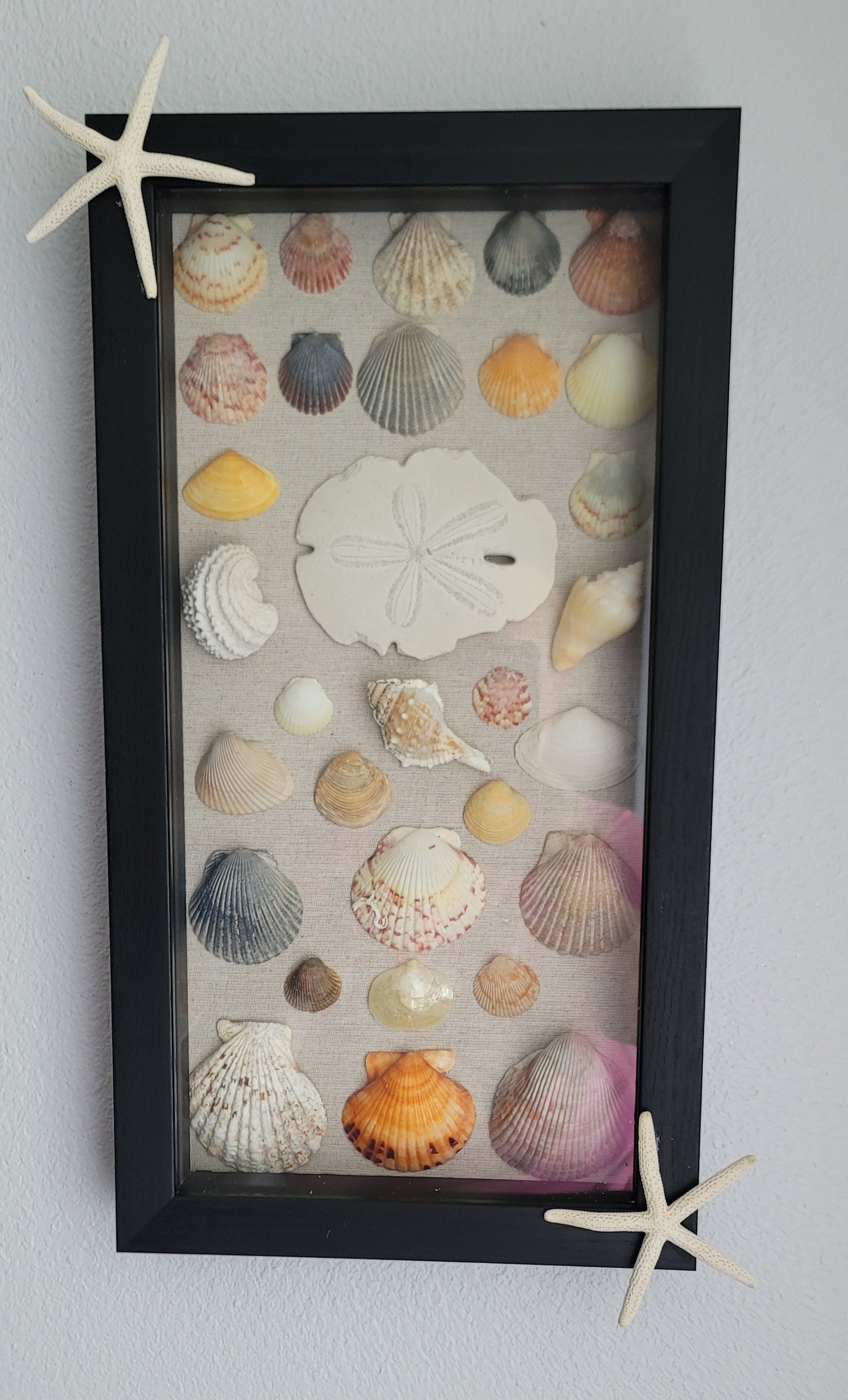 Sea Shell Shadow Box - Etsy