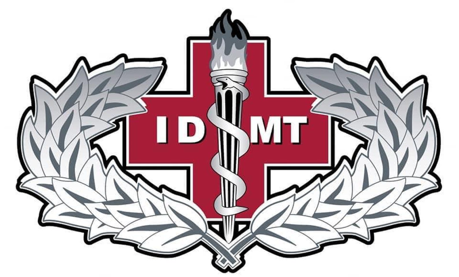 IDMT Vinyl Sticker Pack X 3 - Etsy