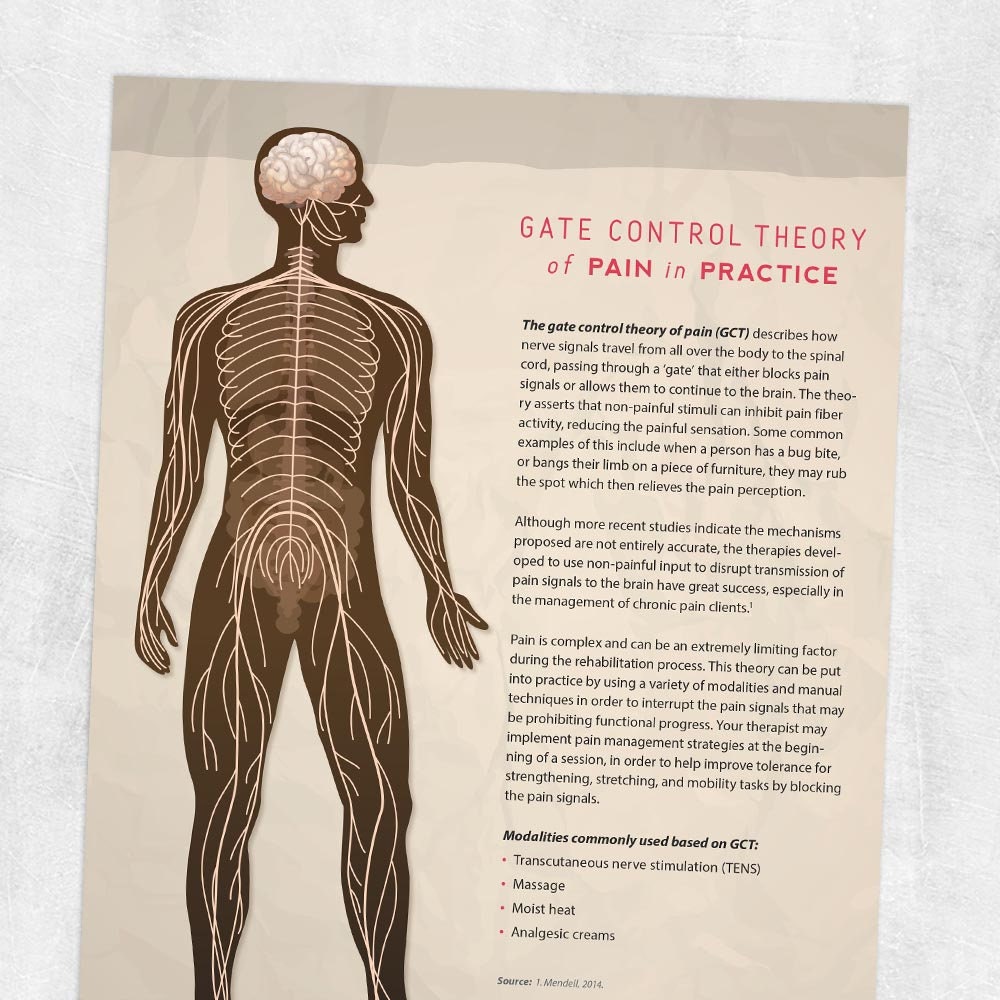 Printable Resource Gate Control Theory of Pain in Practice - Etsy