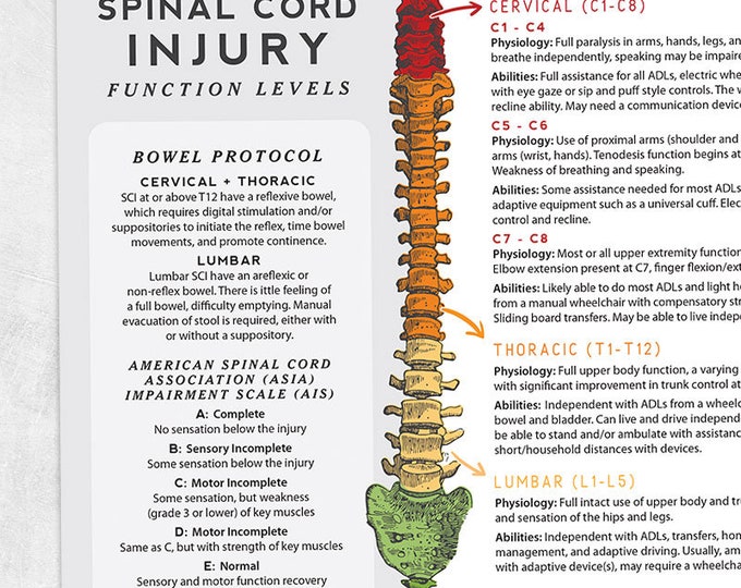 Printable Resource Spinal Cord Injury Function Levels - Etsy