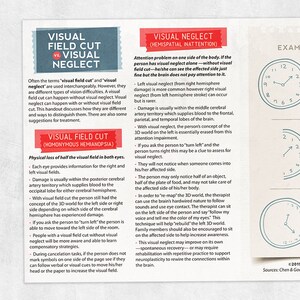 Printable Resource Visual Neglect hemispatial Inattention Vs. Visual ...