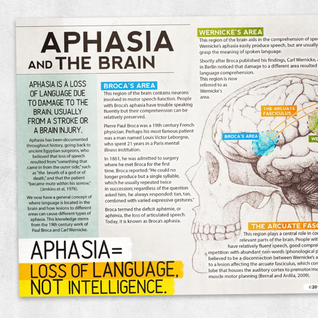 Printable Resource Aphasia and the Brain - Etsy