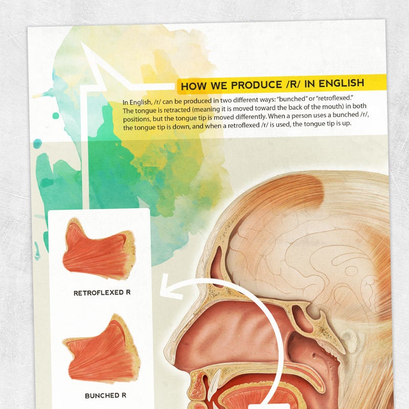 Printable Resource How We Produce /R/ in English - Etsy