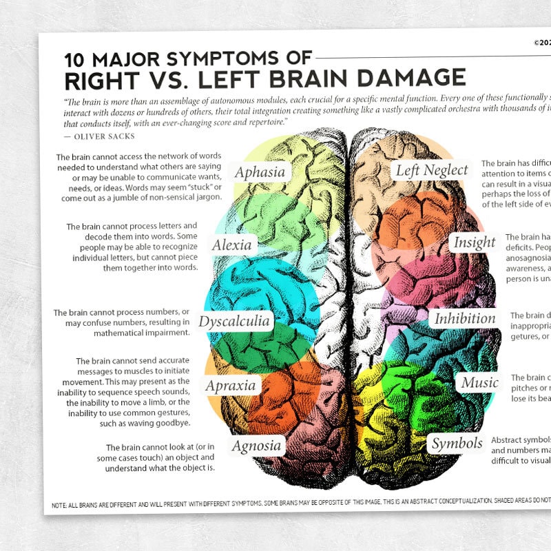 Right Sided Brain Damage