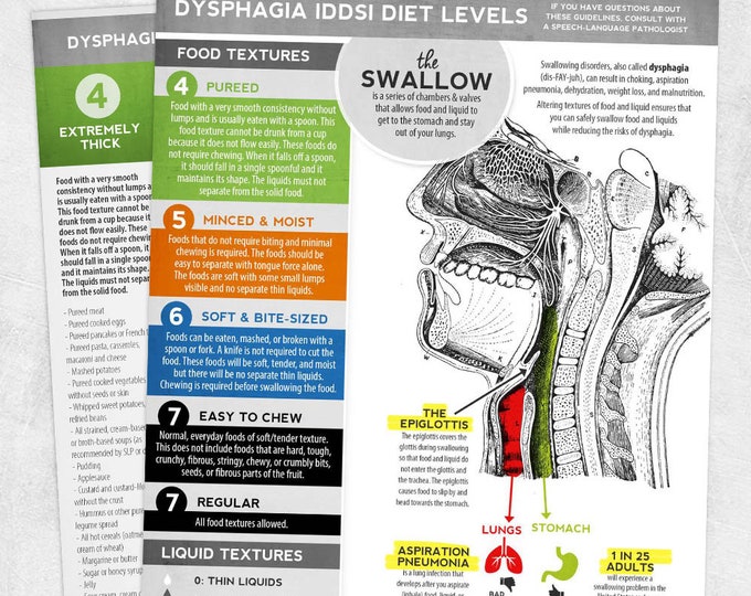 Printable Resource Dysphagia IDDSI Diet Textures/liquids With Visual of ...