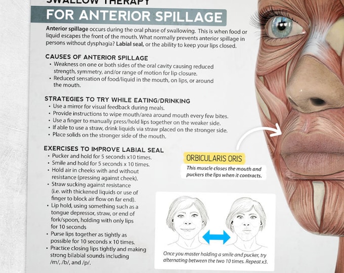 Printable Resource Swallow Therapy for Anterior Spillage - Etsy