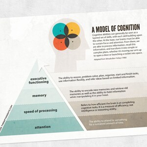 Printable Resource A Visual Model of Cognition - Etsy