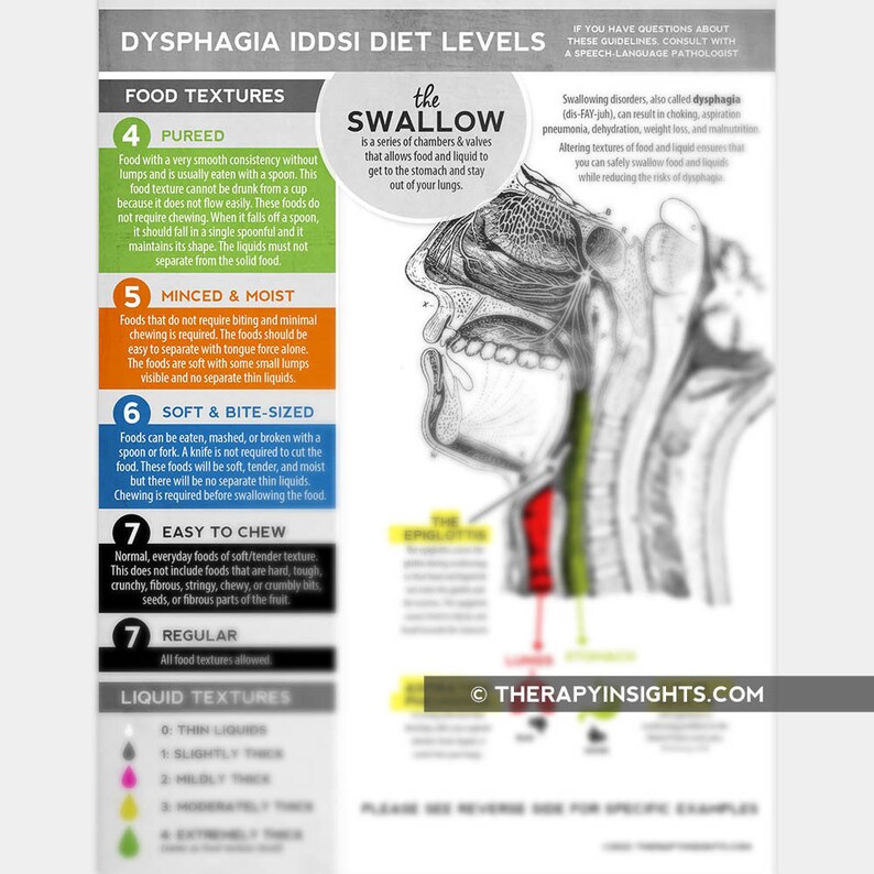 Printable Resource Dysphagia IDDSI Diet Textures/liquids With Visual of ...